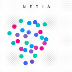 NETIA | NETIA logo animowane.GIF