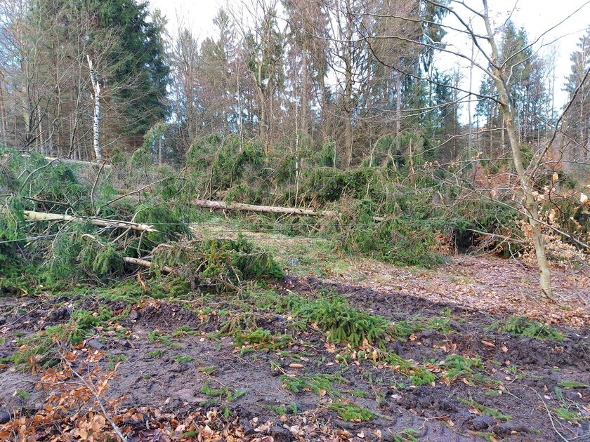 EOWE wspiera odbudowę zniszczonej po nawałnicach sieci ...